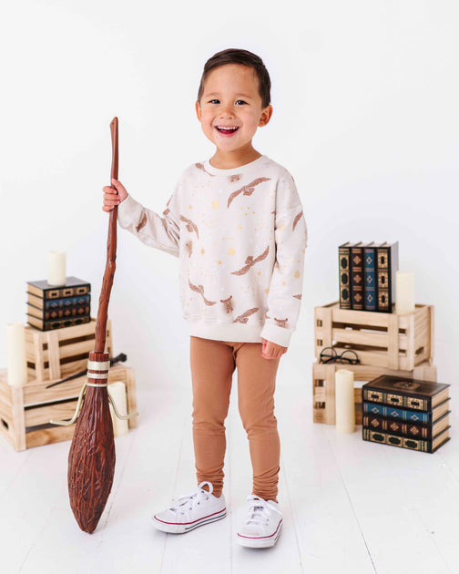 Harry Potter Hedwig's Flight & Hogwarts Night Sky