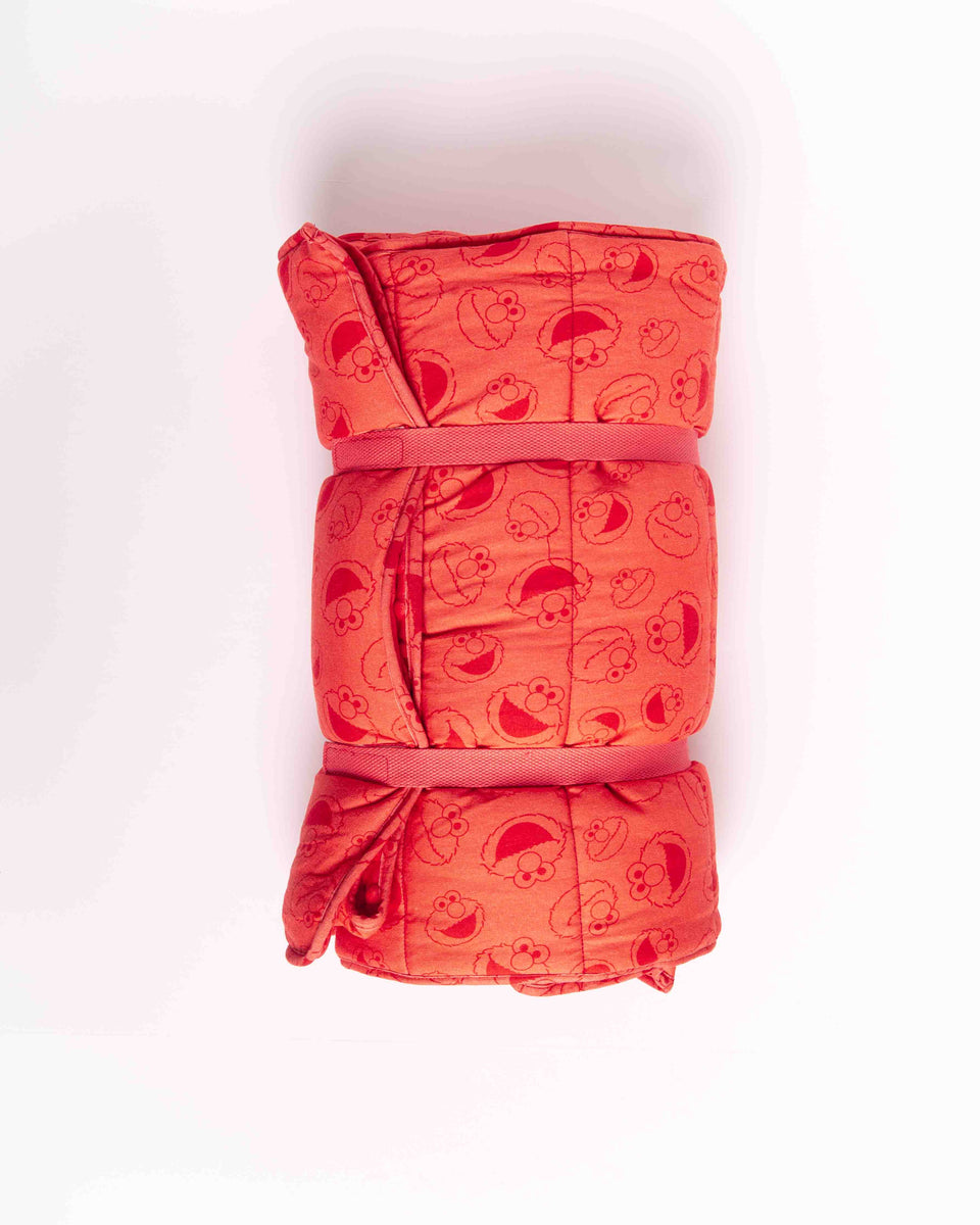 Sesame Street™ Elmo Sleeping Bag